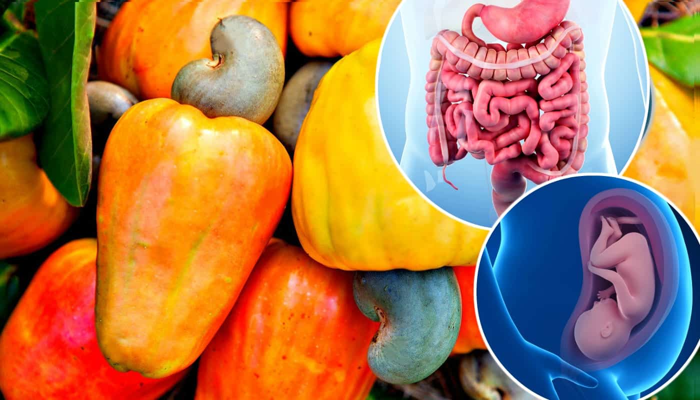 Caju é excelente para a saúde! - Benefícios, como consumir e receitas