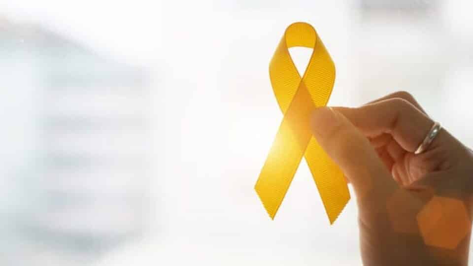 Cores dos meses - Significados, campanhas e quais existem