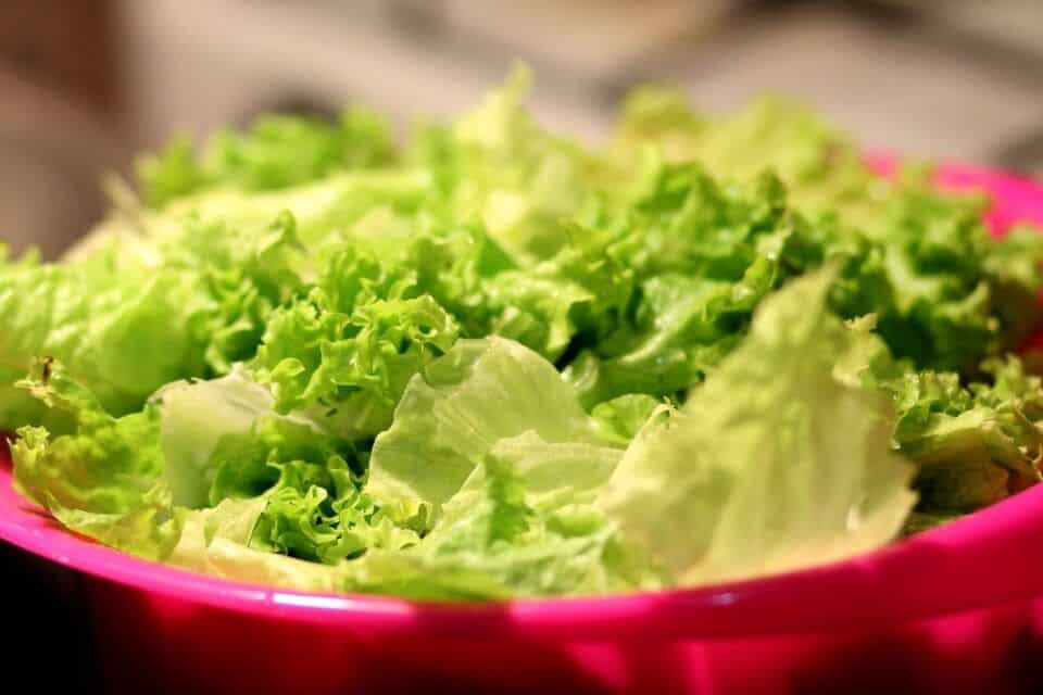 Salada de alface - Benefícios da hortaliça no corpo + 12 receitas