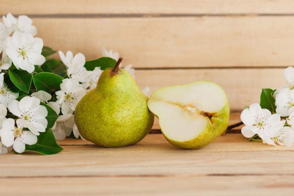 Pera: benefícios da fruta, diferentes tipos e propriedades nutricionais