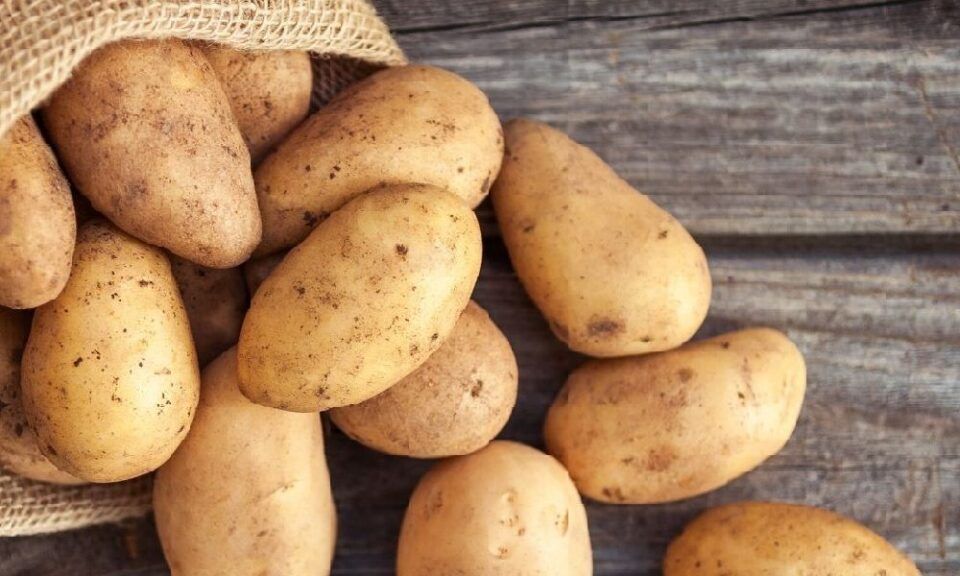 Batatas, como fazer? Dicas de receitas e benefícios para a saúde